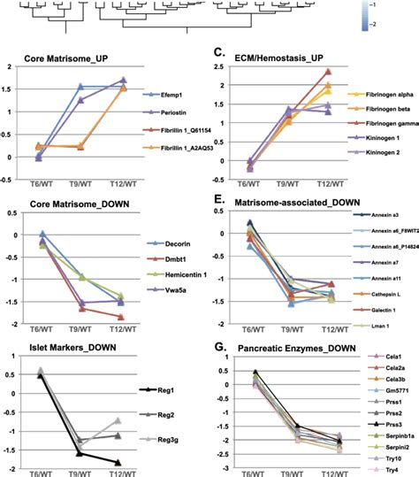 35 Ecm And Ecm Associated Proteins Detected In Significantly Different
