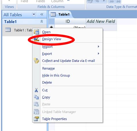 Programmingmicrosoftword 09 Workingwithadatabase Devtome