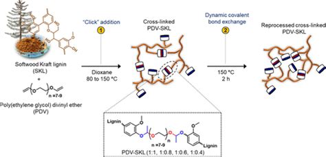 Upcycling Of Dynamic Thiourea Thermoset Polymers By 41 Off