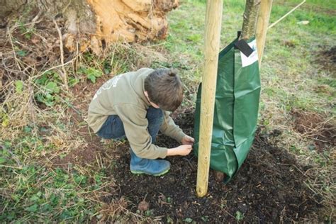 Years Of Treework Environmental Practice