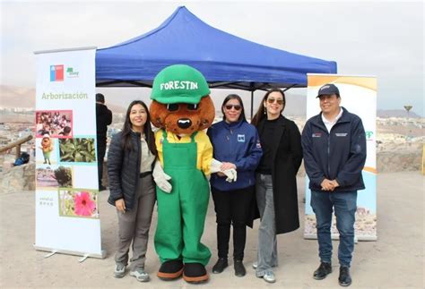 Conaf Y Serviu Tarapacá Plantan Más De 150 árboles En Parque Santa Rosa