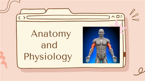 SOLUTION Introduction Of Skeletal System Studypool