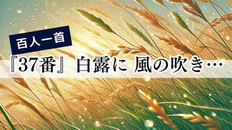 百人一首『37番』白露に 風の吹きしく 秋の野は つらぬきとめぬ 玉ぞ散りける（文屋朝康）