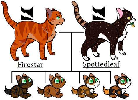 Firestar And Spottedleafs Kits By Warrior Spaceranger On Deviantart