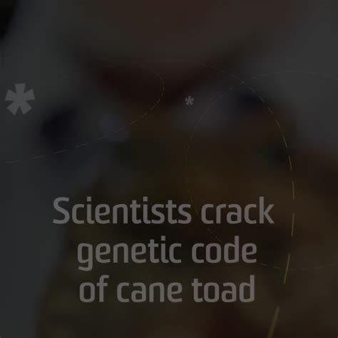 Unsw On Linkedin Toad Code Cracked 🐸 In A Huge Leap Forward A Group Unsw On Linkedin Toad Code Cracked 🐸 In A Huge Leap Forward A Group