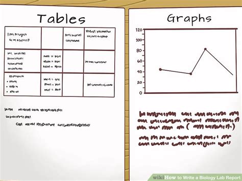 How To Write A Biology Lab Report With Pictures WikiHow