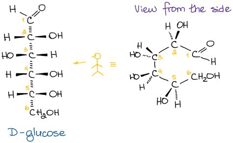Converting Between Fischer Haworth And Chair Forms Of Carbohydrates — Organic Chemistry Tutor