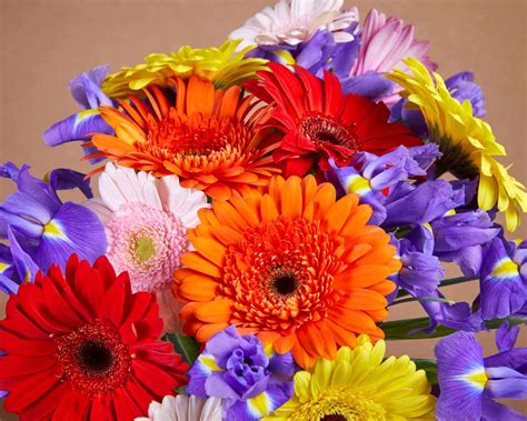 Watsons Flowers Archives Watsons Flowers Blog