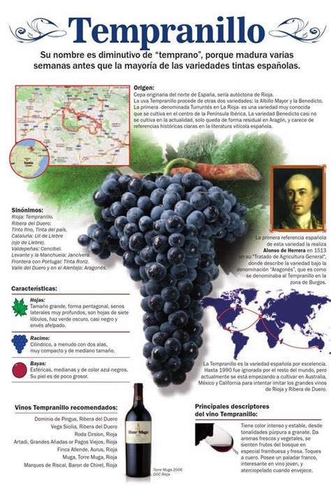 Tempranillo Uva Descripción De La Variedad Características Y Potencial