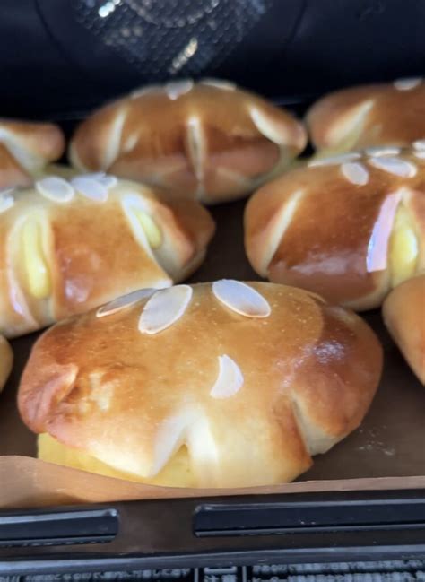 食パン作りで塩を入れ忘れた大失敗！塩なしパンがまずい理由と4つの重要な役割 こだわり酵母パン教室フリーゼ