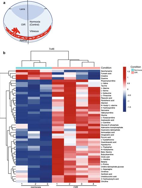 Unsupervised Clustering Analysis Of Samples A Simplified Schematic