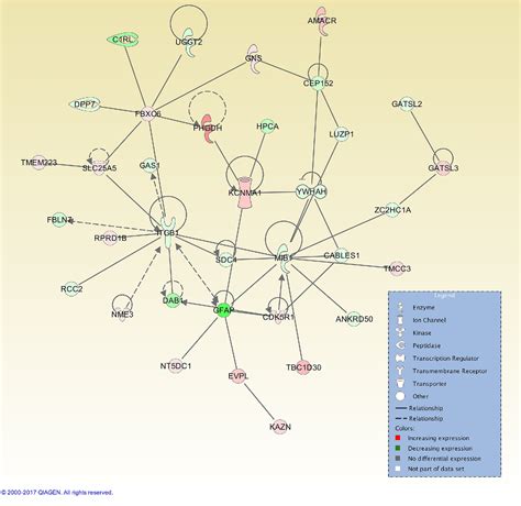 Figure 8 From Transcriptomics Analysis Of The Bovine Endometrium During