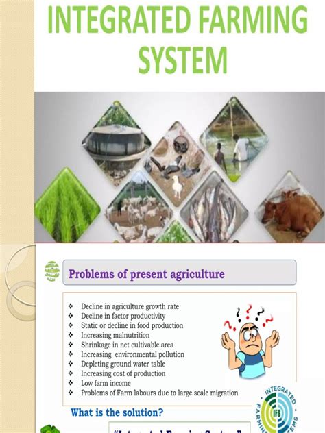 Integrated Farming System Final Pdf