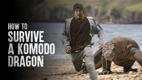 Escaping A Komodo Dragon Attack