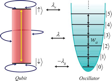 Schematic Of The Rabi Model With Bis The Qubit With One Excited State