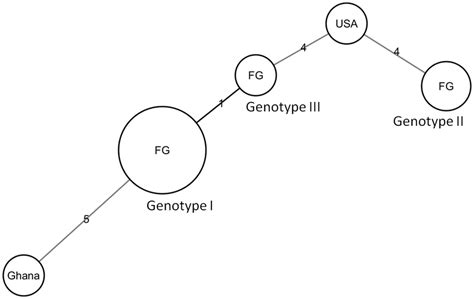 Minimum Spanning Tree The Analysis Is Based On Sequence Type For 6 Download Scientific Diagram