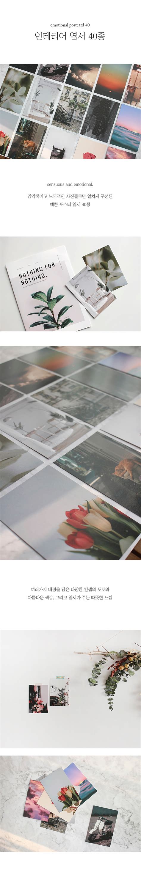 디자인문구 감성 인테리어 미니 빈티지 벽장식 엽서 주황 튤립 오늘의집 쇼핑