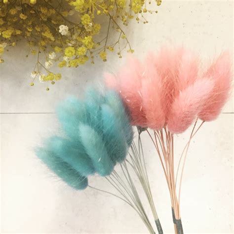 제인아뜰리에 라그라스 제인아뜰리에서만 만나보실 수 있는 특별한 색상😘 색감이 넘넘 예쁜