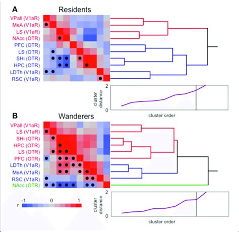 Hierarchical Clustering Analysis Of Resident And Wandering Male