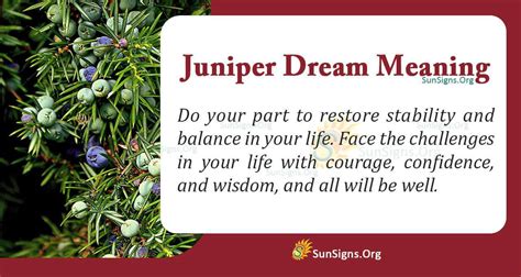 Juniper Wood Spiritual Meaning At Jesse Banks Blog