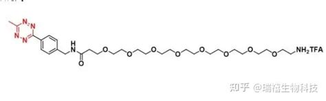 1 2 4 5 四嗪 羧基 羰基反应me Tetrazine Peg8 Amine Tfa Salt Peg3 Amine Hcl Salt的性能 知乎