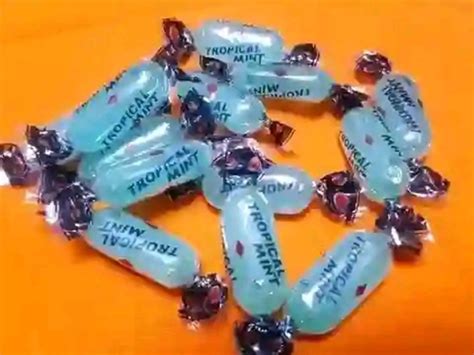 The Mystery Of Tropical Mints The Mt Kenya Times