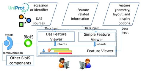 Featureviewer A Biojs Component For Visualization Of Position Based