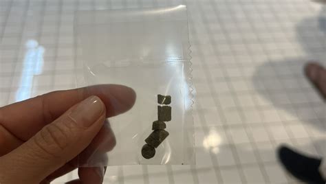 제주맥주 양조장 방문기