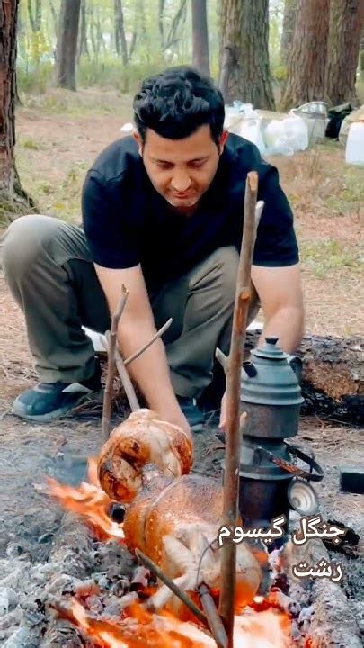 جنگل گیسو رشت مسافرت خانواده ایران جنگل نوروز عید سیزدهبدر