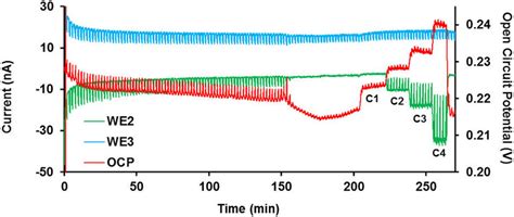 Typical Current And Ocp Response At A Modified Sensor Head During Mamp