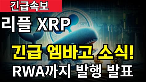 리플때문에 미국 지금 난리 났습니다 Youtube