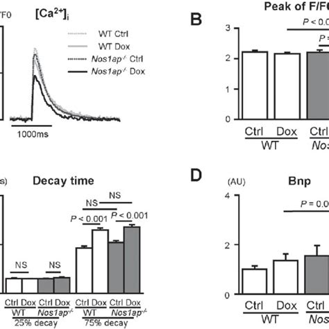 Surface Ecg And Ucg Before And After Dox Treatment A Representative Download Scientific