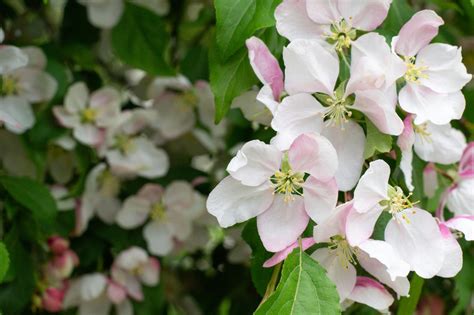 The Greatest Movie Of All Time Escanaba In Da Moonlight Visit Escanaba