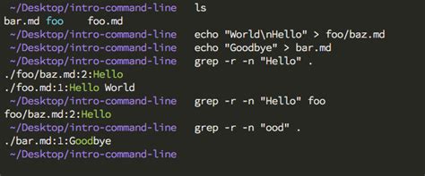 Intro To The Command Line