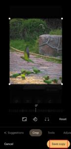 How To Resize A Photo On Android TechCult