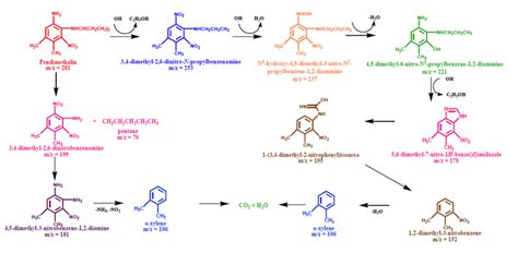 Scheme 2 Plausible Degradation Pathway For The Photodegradation Of