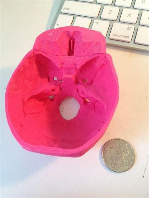 Anatomically Correct Human Skull By Muse7789 Human Skull 3d Printing Skull