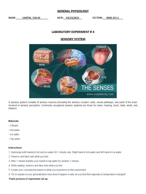 sensory system expt 4 download free pdf senses nervous system