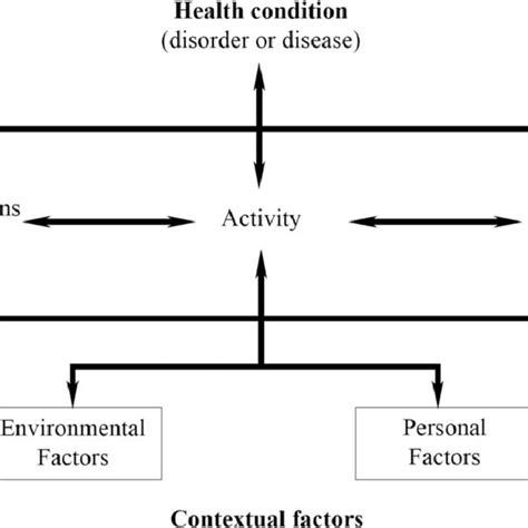 The International Classification Of Function Framework Uses This Download Scientific Diagram