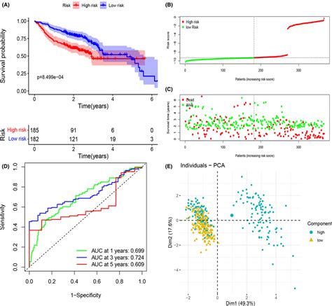 External Validation Of Prognostic Signature Genes In The Geo Cohort