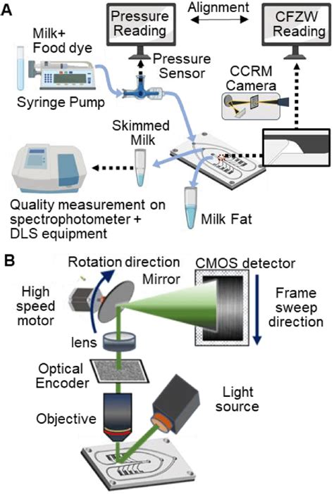 A Microfluidic Setup Samples Were Injected By A Syringe Pump An Download Scientific Diagram