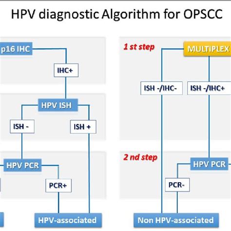 Hpv Diagnostic Alghoritm For Oropharyngeal Squamous Cell Carcinoma Download Scientific Diagram