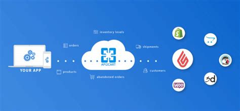 How To Develop Api Integration With Lightspeed Platform Api2cart