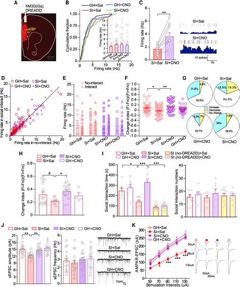 Figure 1 From Neural Circuits And Activity Dynamics Underlying Sex Specific Effects Of Chronic Figure 1 From Neural Circuits And Activity Dynamics Underlying Sex Specific Effects Of Chronic