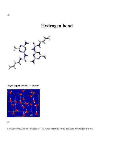 An Example Of Intermolecular Hydrogen Bonding In A Self Ion Chemical Bond