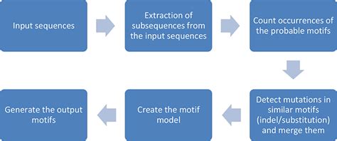 Motif Discovery In Protein Sequences Intechopen