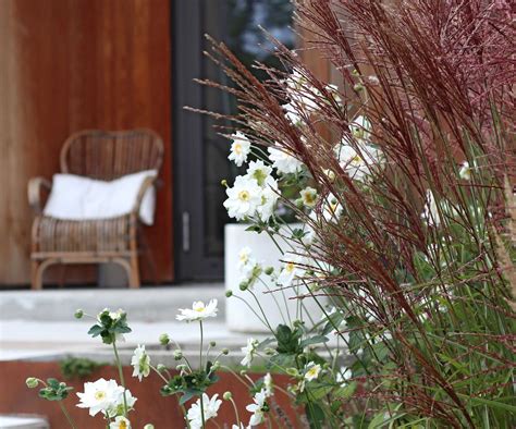 Landscaping With Ornamental Grasses 6 Inspirational Ideas Homes And