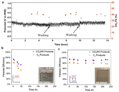 Strategies For Addressing Salt Formation A Periodic Washing Applied Download Scientific