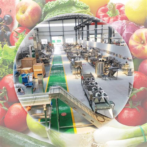 Vegetable Washing Solution Manufacturer