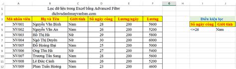 Lọc Dữ Liệu Trong Excel Bằng Advanced Filter TỰ HỌc Excel